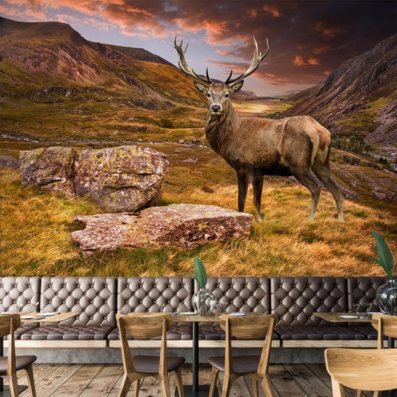 Deer Wall Murals