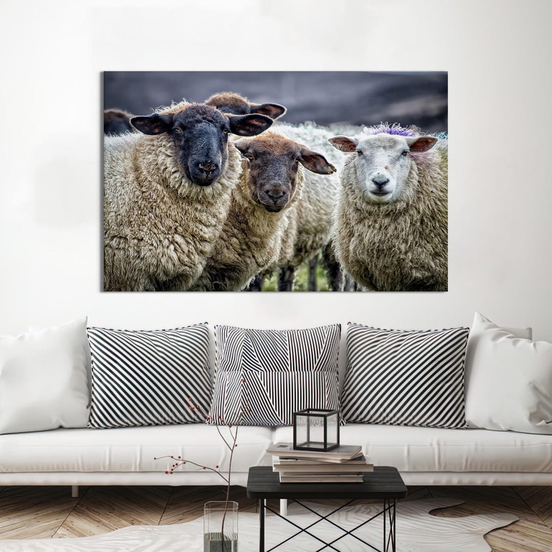 Farmhouse Wall Art, Three Sheeps Artwork, Animal Canvas Print, Sheep ...