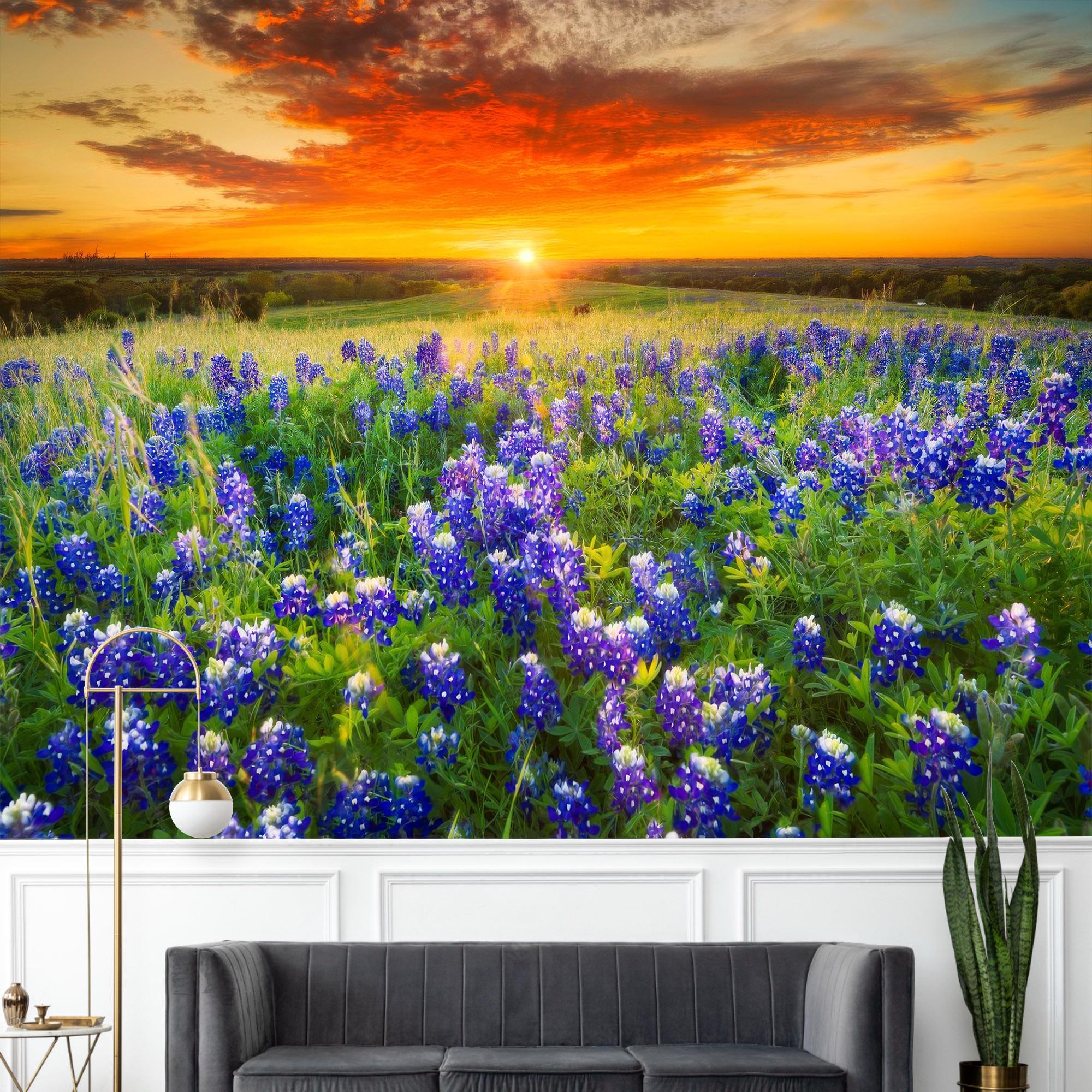 Flower Field Wall Mural, Sunset Wallpaper, Wildflower Meadow Decor ...