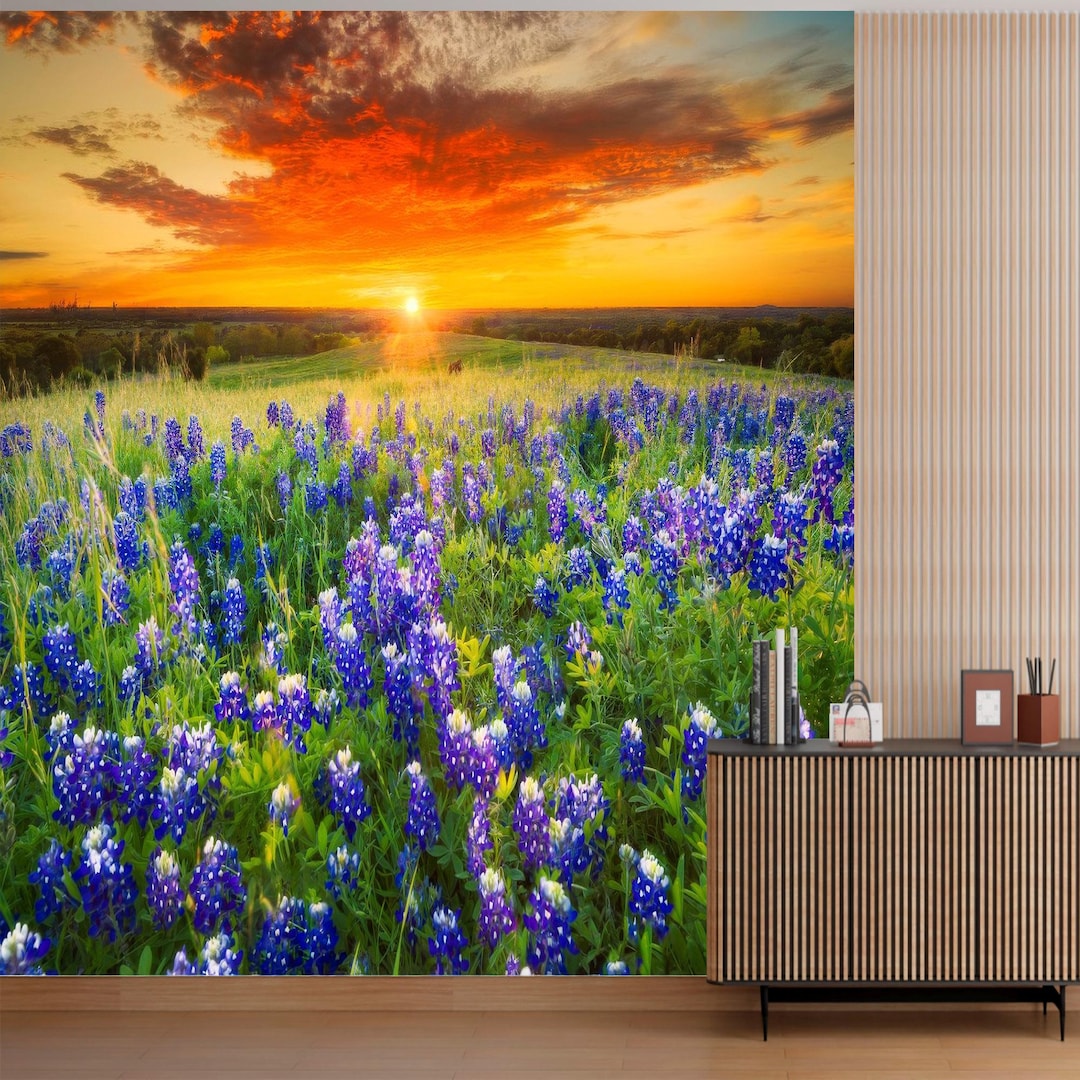 Flower Field Wall Mural, Sunset Wallpaper, Wildflower Meadow Decor ...