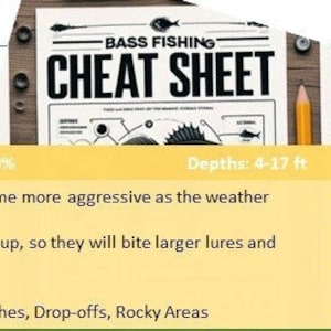 Bass Fishing Cheat Sheet - Etsy