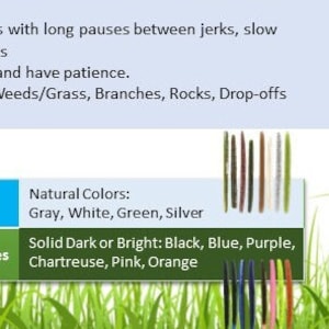 Bass Fishing Cheat Sheet - Etsy