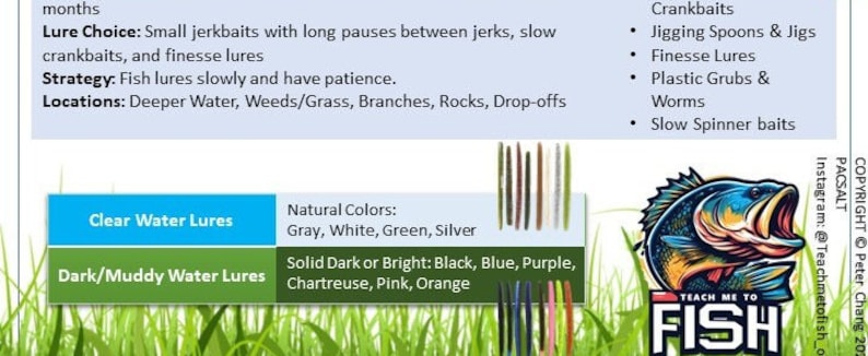 Bass Fishing Cheat Sheet - Etsy