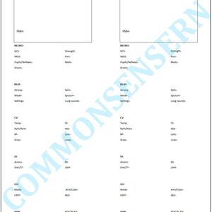 ICU Nurse Report Sheet - Printable PDF - Etsy