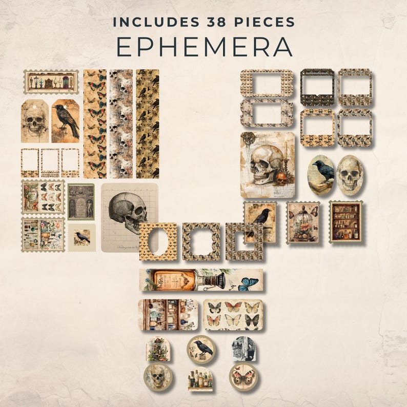 Cabinet of Curiosities Printable Kit - Vintage Science Ephemera ...