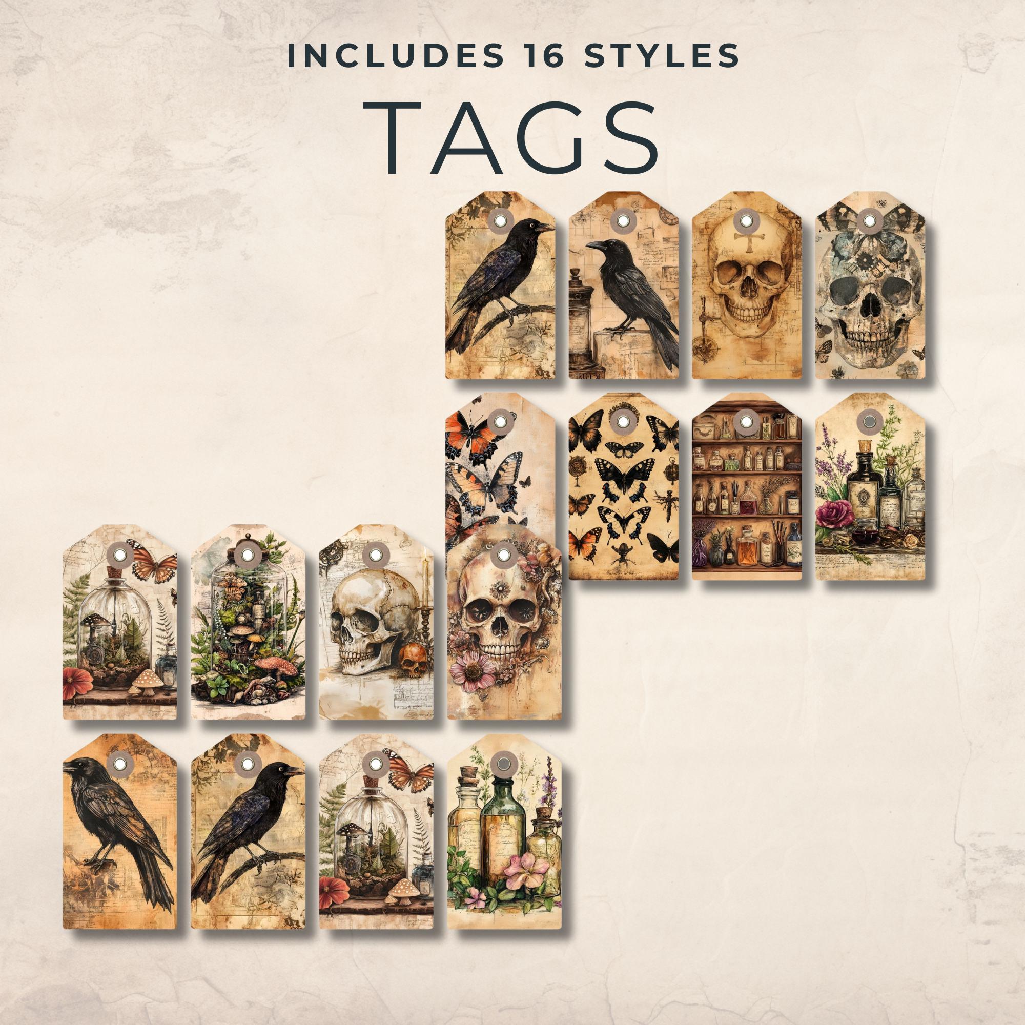 Cabinet of Curiosities Printable Kit - Vintage Science Ephemera ...