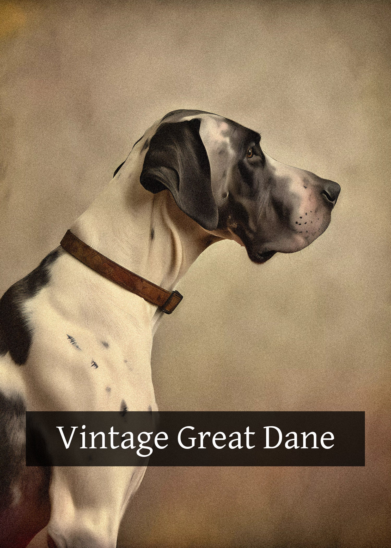 Antique Great Dane Oil Painting Portrait Digital Download - Etsy