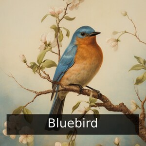 Vintage Bluebird Painting, Bluebird Print, Antique Bluebird Art ...