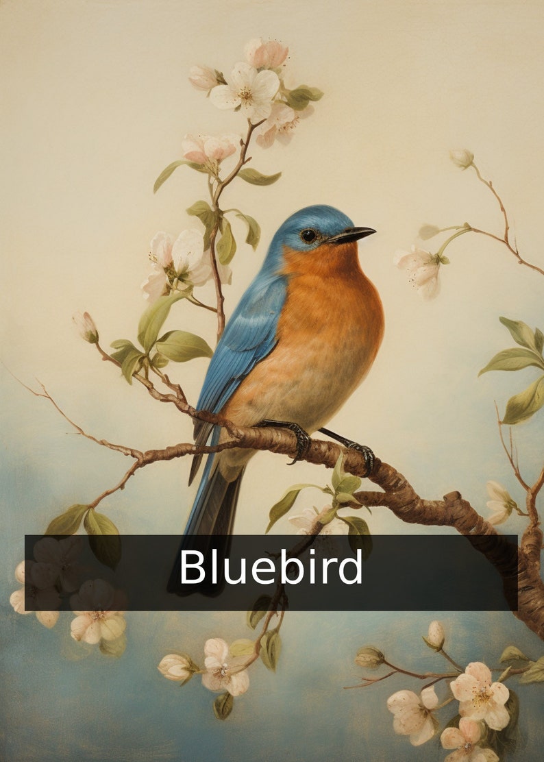 Vintage Bluebird Painting, Bluebird Print, Antique Bluebird Art ...