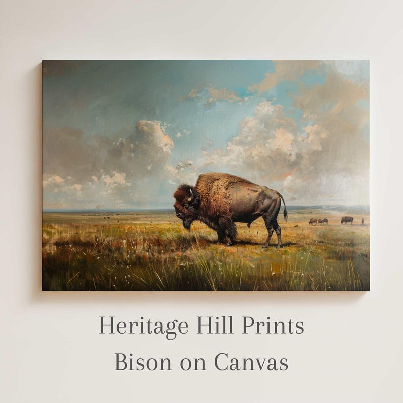 Bison Canvas - Etsy