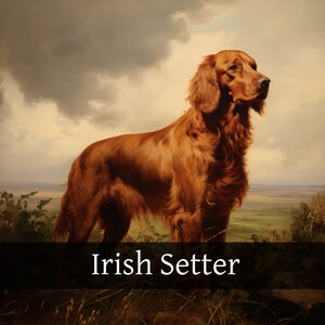 Vintage Irish Setter Portrait Print, Antique Art, Dog Portrait, Pet ...
