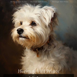 Vintage Maltese Portrait Art Print, Maltese Painting, Maltese Portrait ...