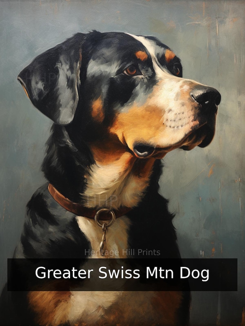 Vintage Greater Swiss Mountain Dog Portrait Print, Antique Art ...