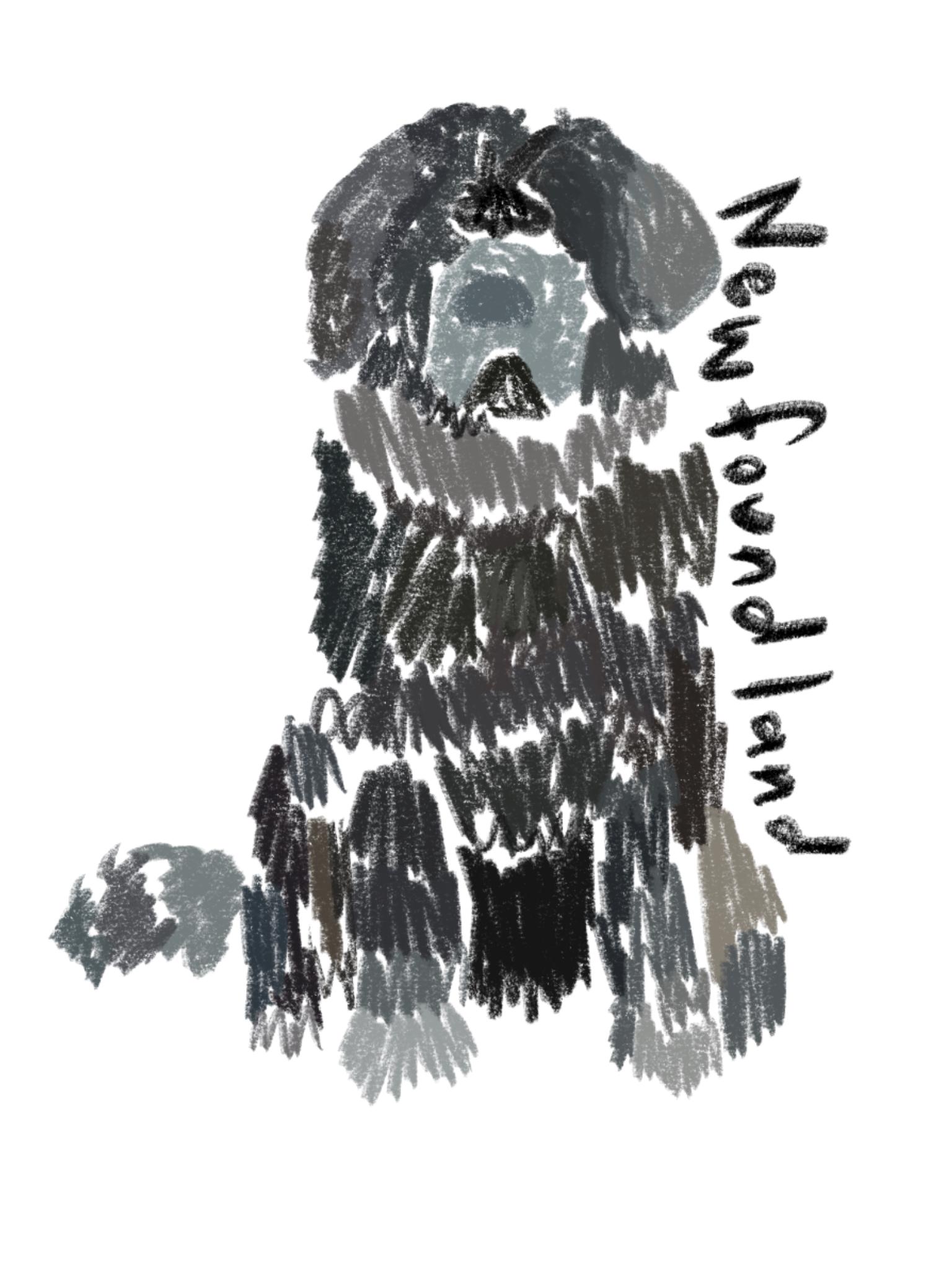 Digital Dog Clipart – Custom Breed Scribble Drawing | Fun Pet Art | Add ...