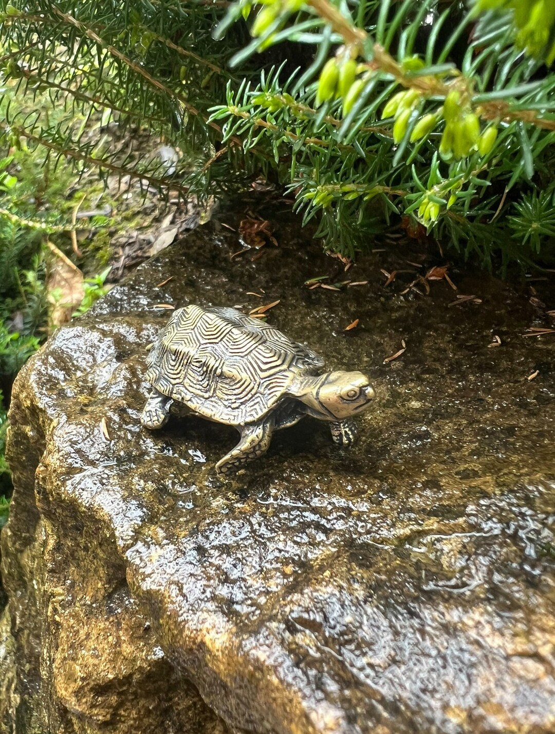 Turtle Statue Brass Sea Animal Ornament L Turtle Ornament Golden Turtle ...