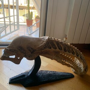 Alien Xenomorph Skull Replica 1-1 / 1-2 / 1-4 Scale / Wallbust / Bust ...