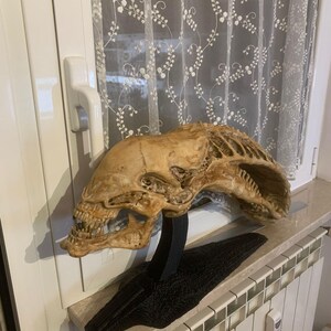 Alien Xenomorph Skull Replica 1-1 / 1-2 / 1-4 Scale / Wallbust / Bust ...