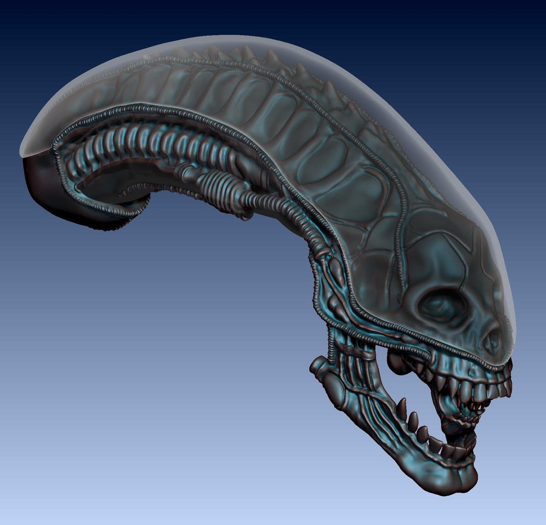 Alien Xenomorph Skull Replica 1-1 / 1-2 / 1-4 Scale / Wallbust / Bust ...