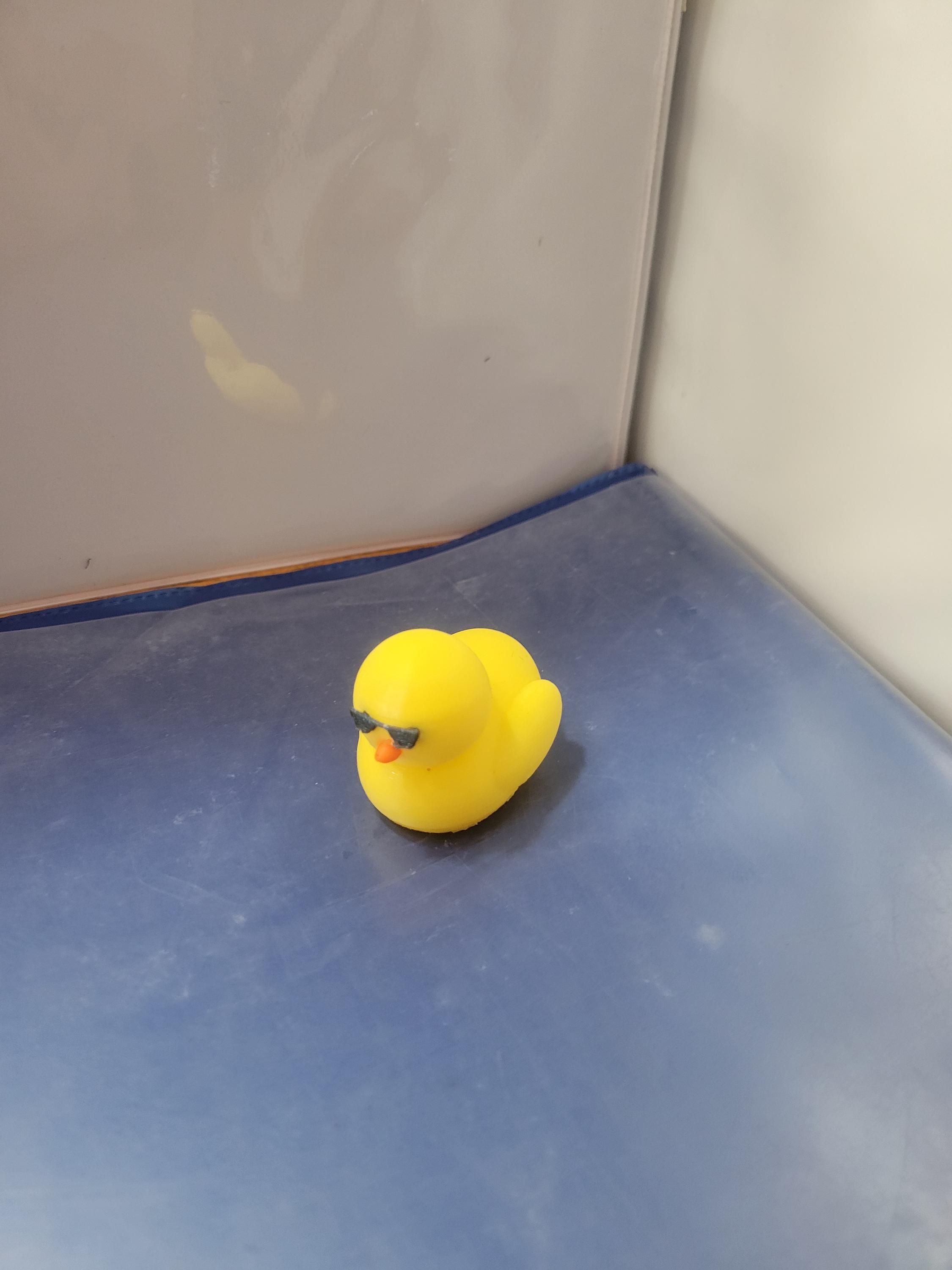 Cute Mini Duck With Sunglasses - Etsy