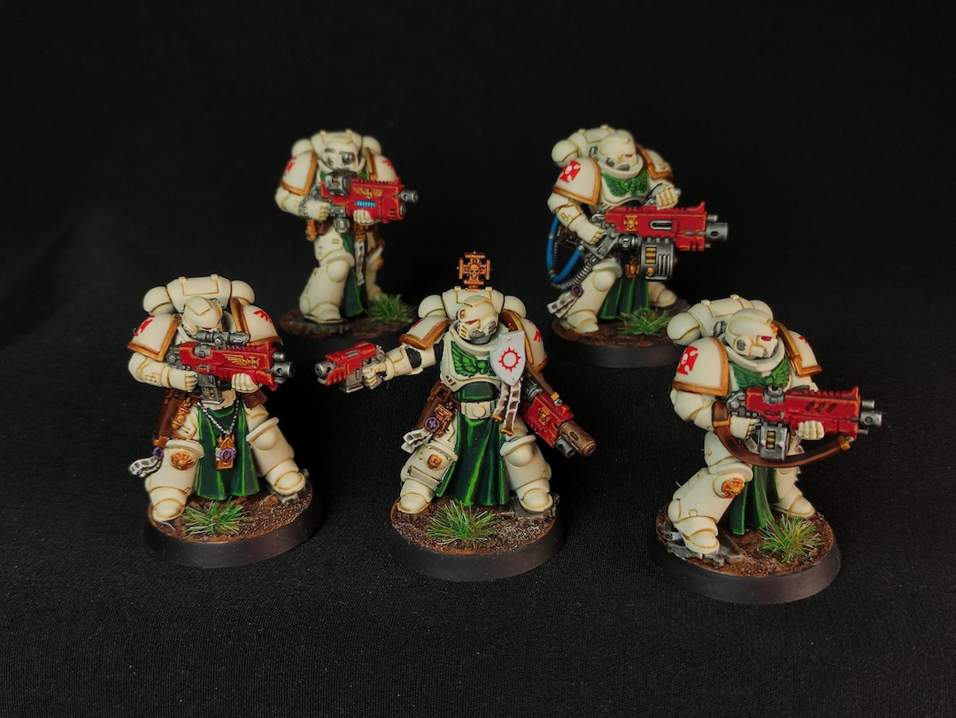 Warhammer 40k Painted Dark Angels Leviathan Sternguard Veteran Squad - Etsy
