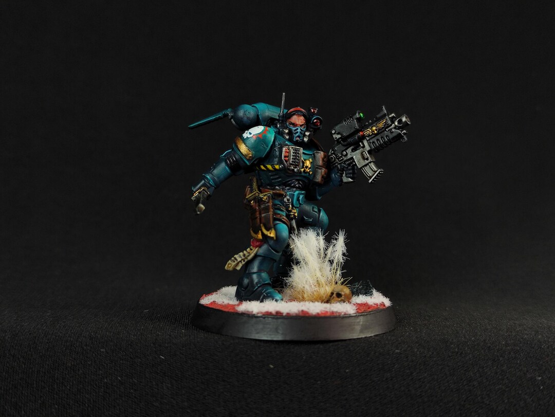 Warhammer 40k Painted Space Marine Primaris Ultramarines Reiver ...