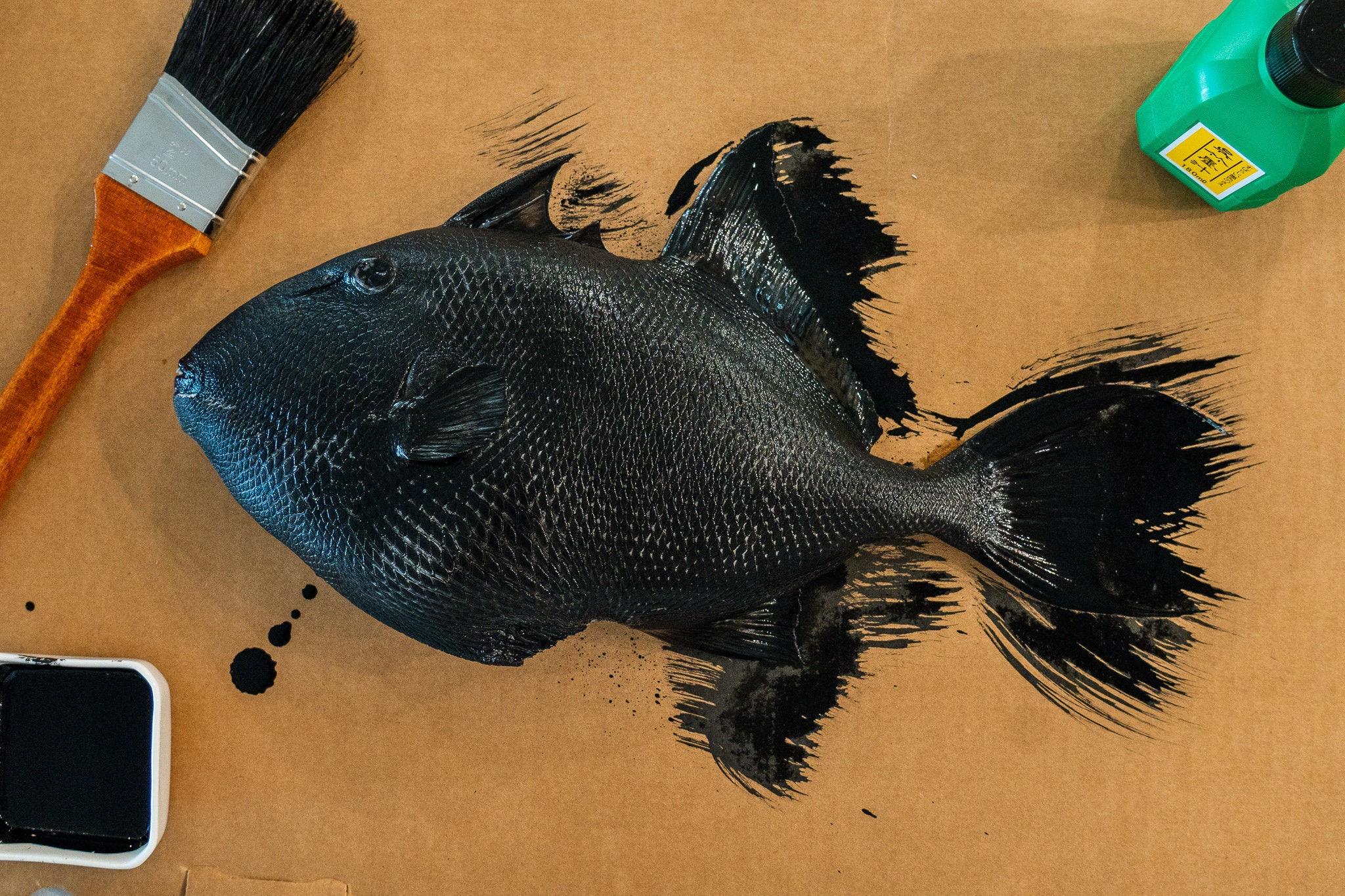Gyotaku Fish Printing Kit: DIY Japanese Fish Art (10 Sheets) - Etsy