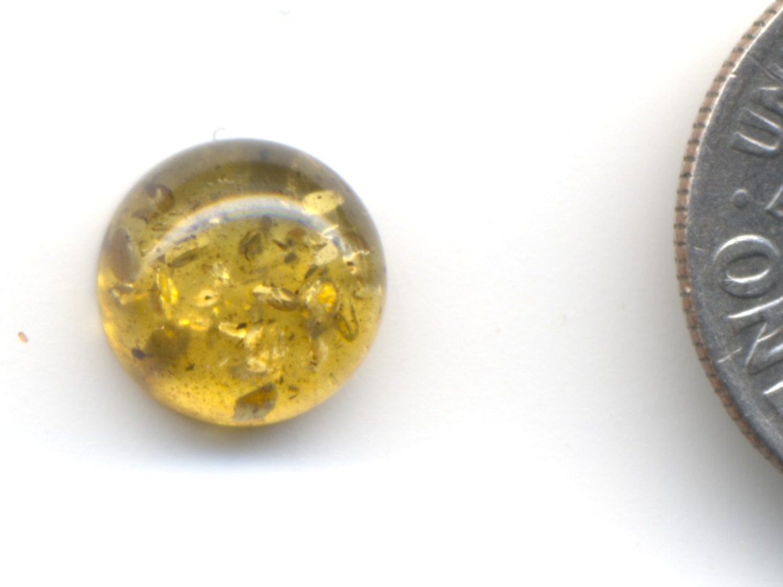 AMBER Natural Baltic Amber ONE 8mm Round Cabochon Sopot Poland | Etsy