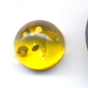 AMBER Natural Baltic Amber ONE 8mm Round Cabochon Sopot Poland - Etsy