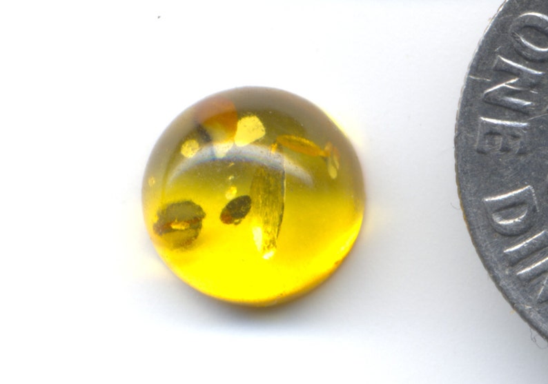 AMBER Natural Baltic Amber ONE 8mm Round Cabochon Sopot Poland - Etsy