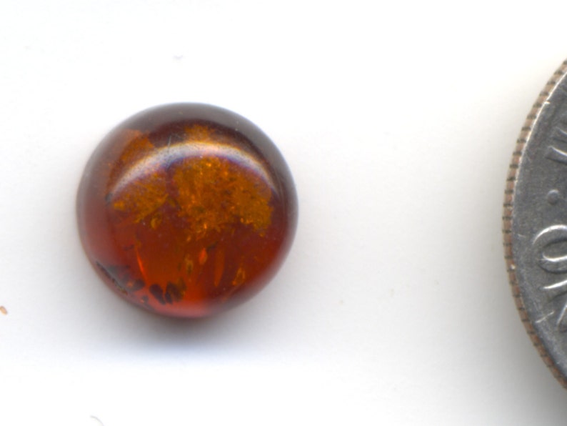 AMBER Natural Baltic Amber ONE 8mm Round Cabochon Sopot Poland - Etsy