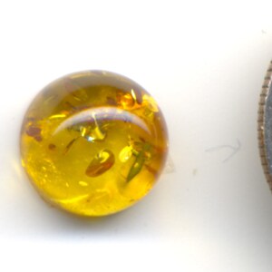 AMBER Natural Baltic Amber ONE 8mm Round Cabochon Sopot Poland - Etsy