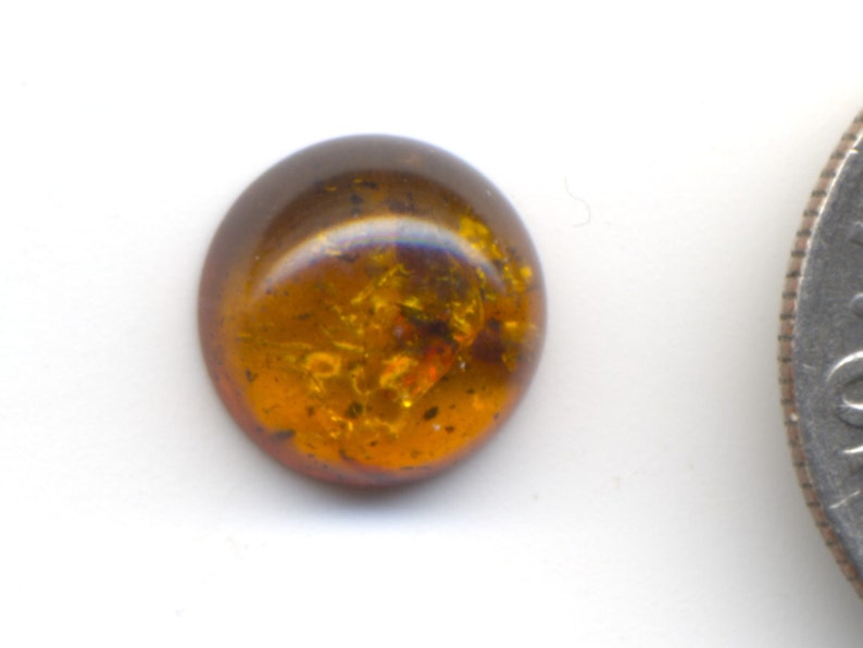 AMBER Natural Baltic Amber ONE 8mm Round Cabochon Sopot Poland - Etsy