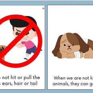 I Can Be Kind to Pets Social Story - Etsy