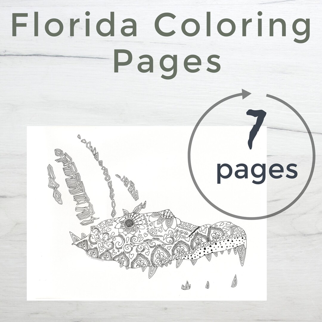 Florida Themed Coloring Pages Printable // DIGITAL Art Packet - Etsy
