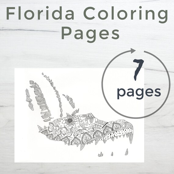 Florida Themed Coloring pages printable // DIGITAL art | Etsy