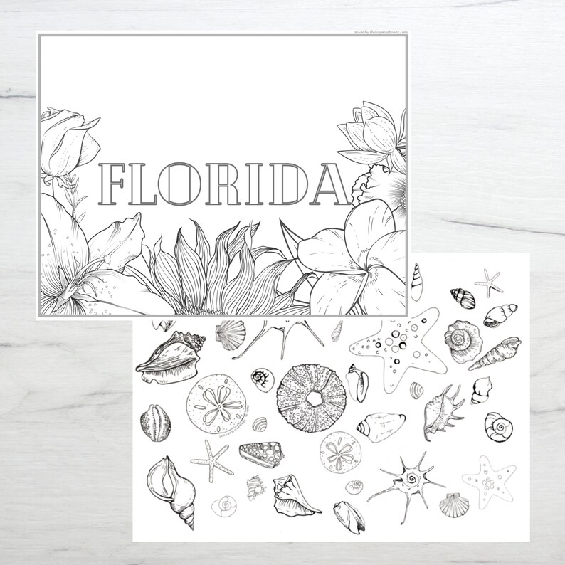 Florida Themed Coloring Pages Printable // DIGITAL Art Packet - Etsy