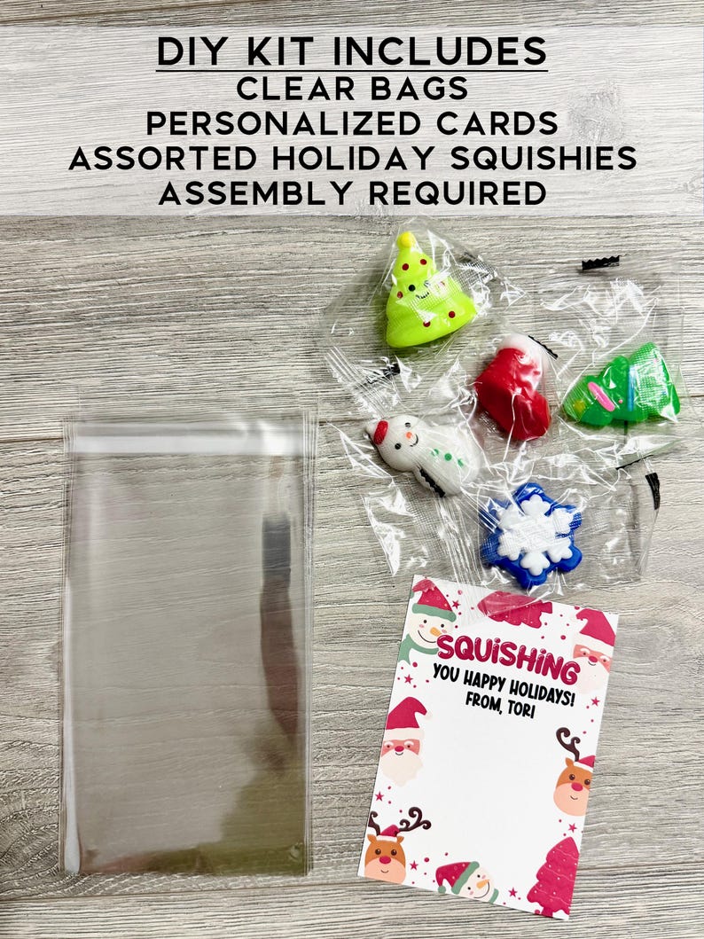 Holiday Class Squishy Toy Party Favors, School Christmas Party Favor ...