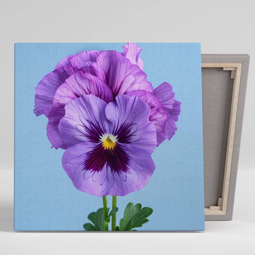 Pansy Wall Art, Canvas or Poster, Floral Contemporary Decor, Living ...