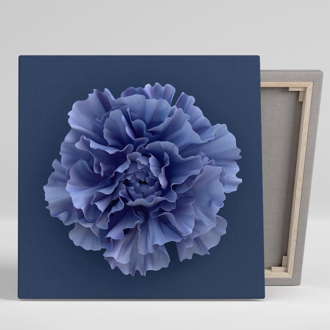 Carnation Art, Canvas or Poster, Contemporary Minimalist Decor, Bedroom ...
