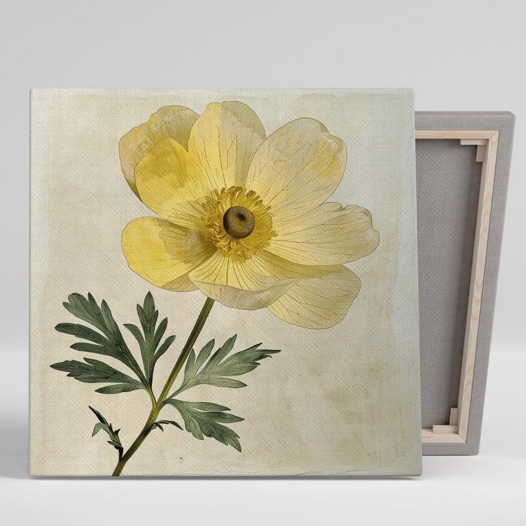 Buttercup Botanical Art, Canvas or Poster, Vintage Shabby Chic Decor ...