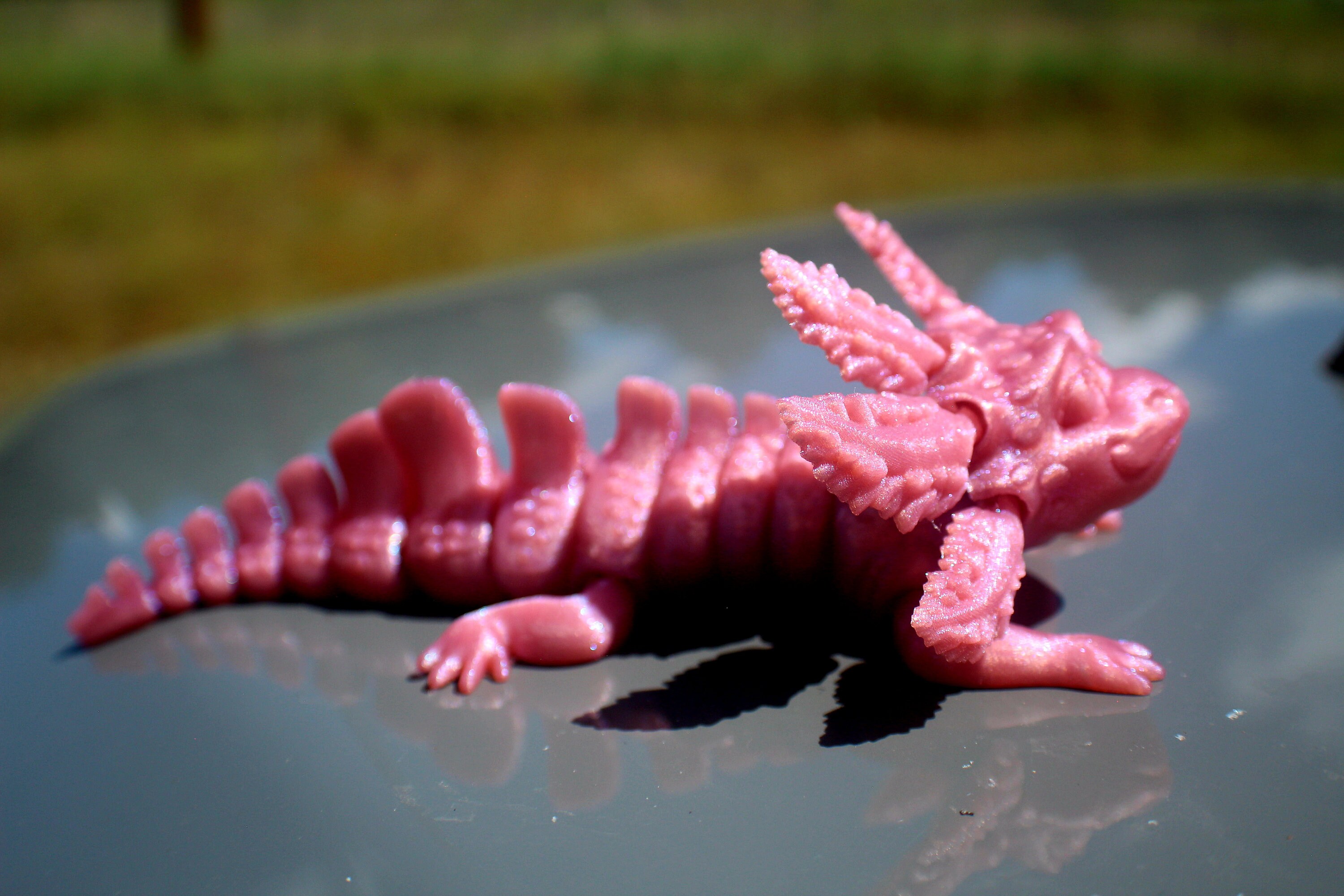 Axolotls Bundle - Etsy