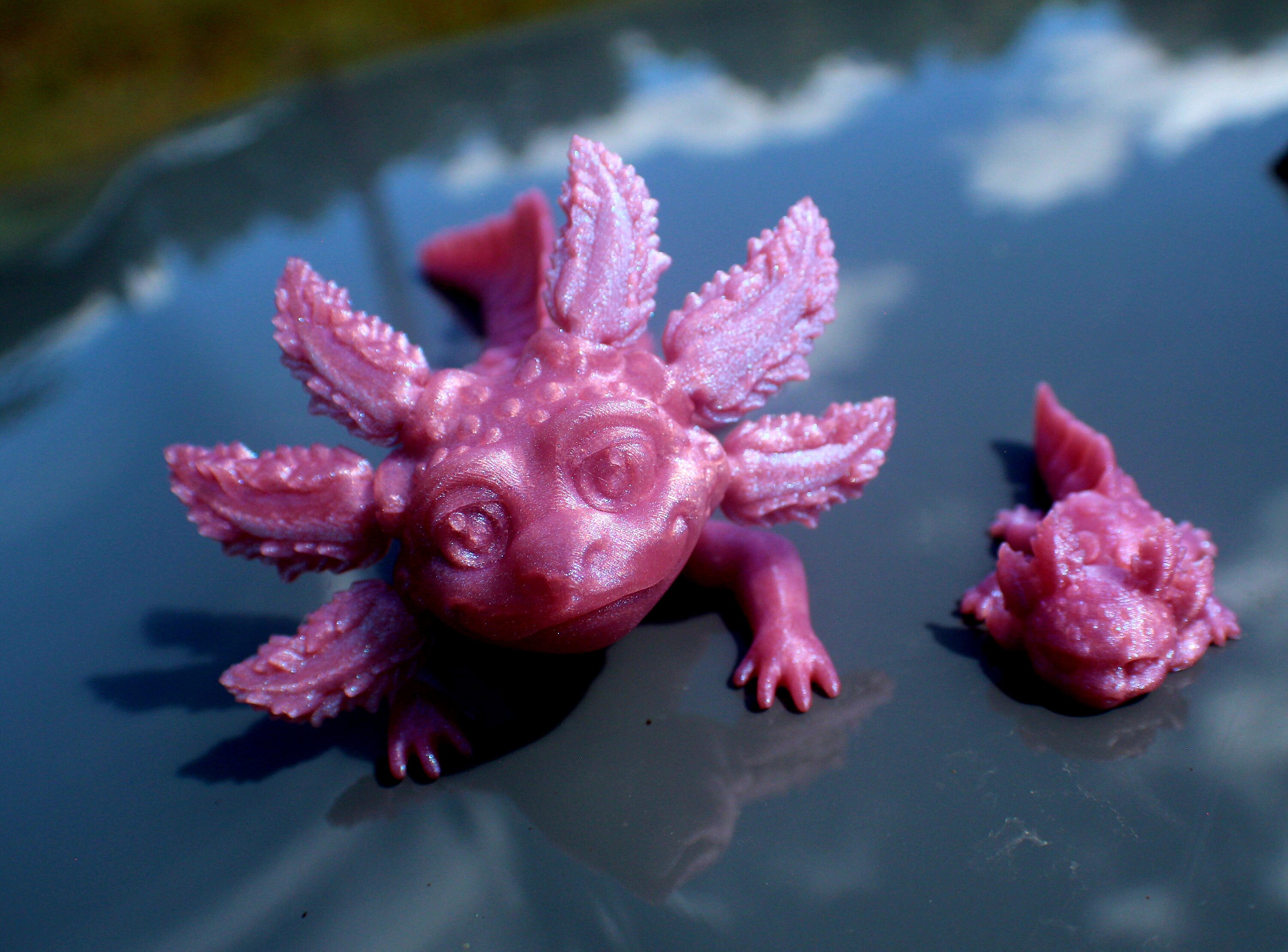 Axolotls Bundle - Etsy