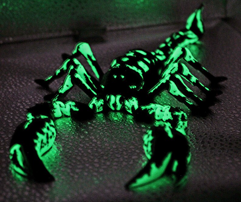 3D Printed Articulated Scorpion Realistic, Highly Detailed Model - Etsy