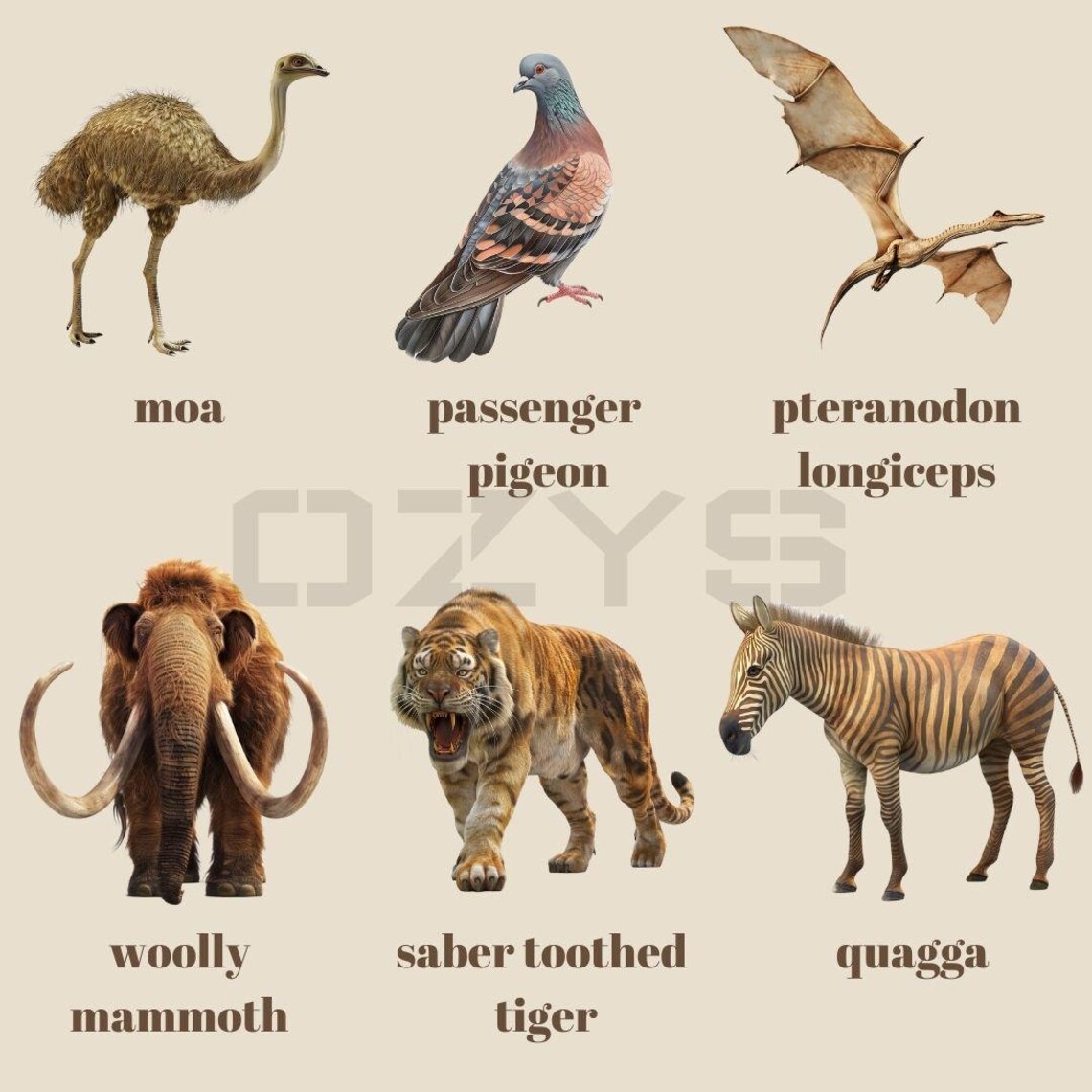 Cenozoic Era Animals, Trex Clipart Bundle, Illustration Art, Jurrasic ...