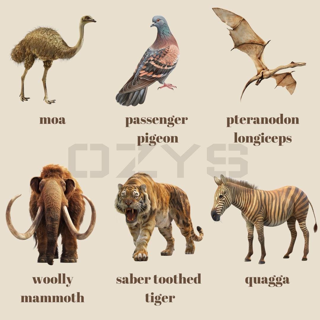 Cenozoic Era Animals Clipart: Extinct Animals PNG Bundle (digital ...
