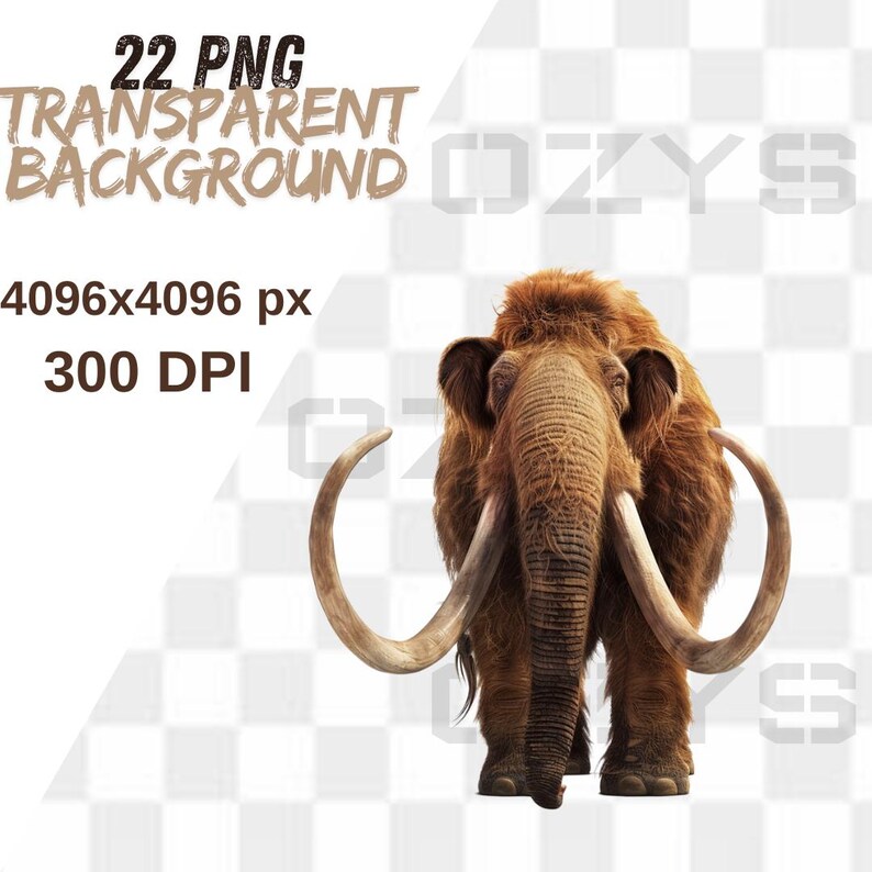 Cenozoic Era Animals Clipart: Extinct Animals PNG Bundle (digital ...