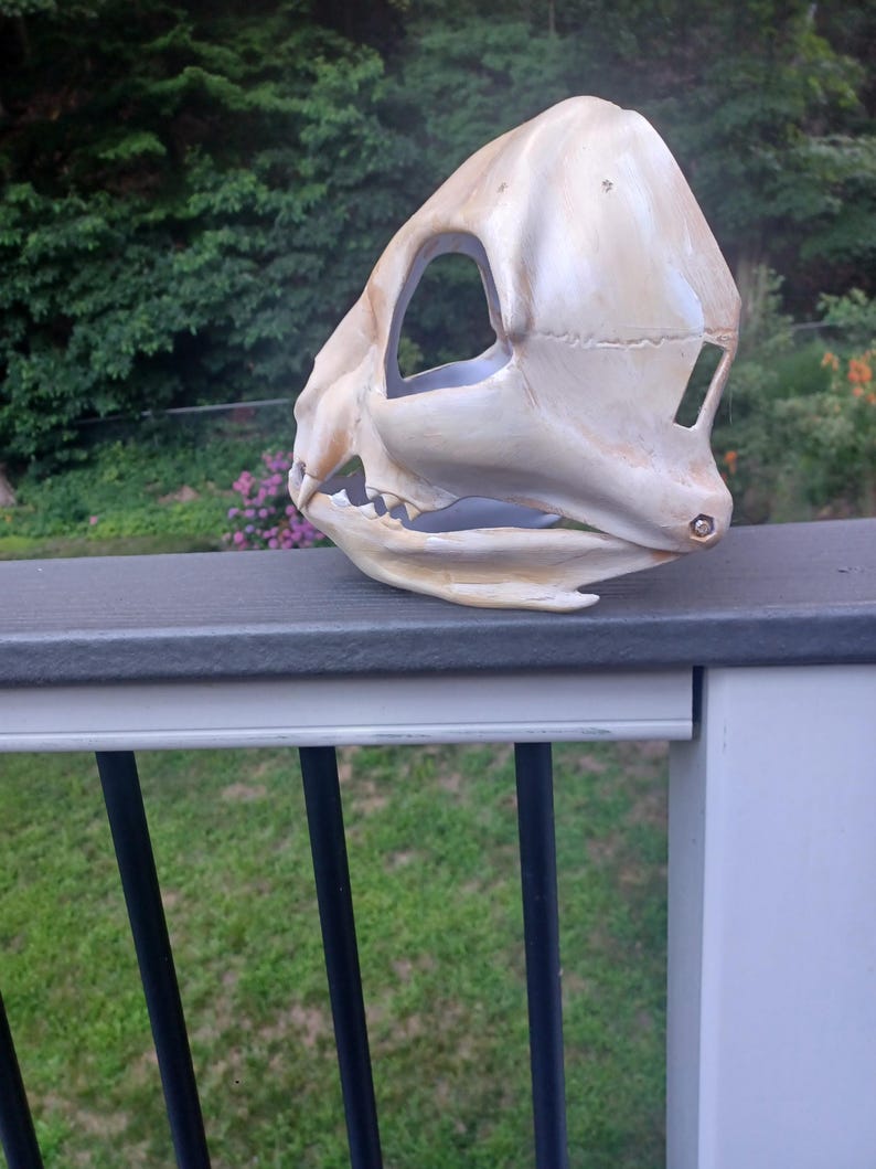 Hand Painted 3D Printed Cat Skull Mask, Moving Jaw, Hinged Jaw - Etsy