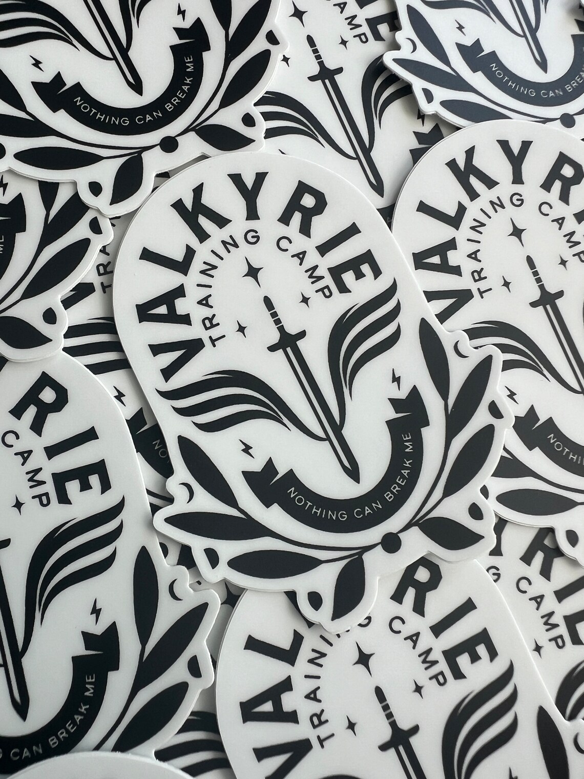 Valkyrie Training Camp Vinyl Sticker: ACOTAR Decal - Etsy