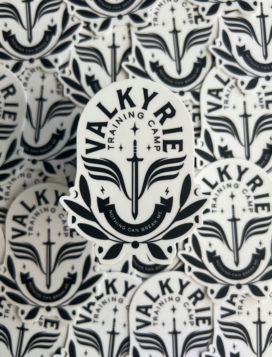 Valkyrie Training Camp Vinyl Sticker: ACOTAR Decal - Etsy