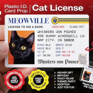 Custom Cat Driver's License – Personalized Pet ID Card (printable PDF ...